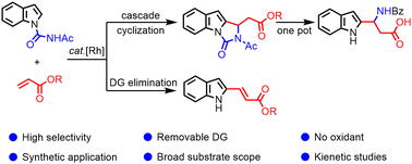 Rh(iii)-catalyzed regioselective versatile indole derivatization: delivering potential of rare β ...