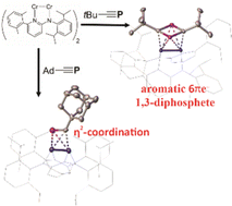 Unusual coordination mode for 1,3-diphosphete ligands towards a Cr–Cr ...