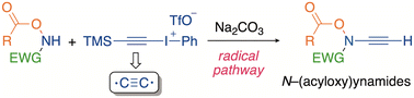 Synthesis of N-(acyloxy)-N-alkynylamides via generation of “C2” from ...