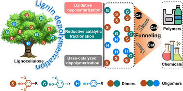 Deriving high value products from depolymerized lignin oil, aided by ...