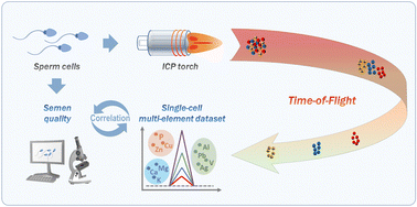 Single-cell multi-element analysis reveals element distribution pattern ...