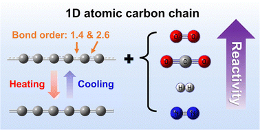 Structural transition and chemical reactivity of atomic carbon chains ...