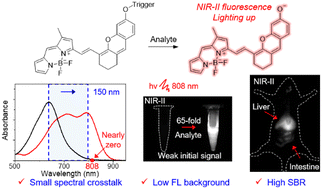 Activatable BODIPY-chromene NIR-II probes with small spectral crosstalk ...