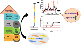 Polyprotein synthesis: a journey from the traditional pre-translational ...