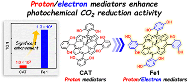 Introducing proton/electron mediators enhances the catalytic ability of ...