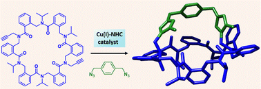 Cage-like structures based on constrained cyclic arylopeptoids ...