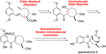 Total synthesis of applanatumol A - Chemical Communications (RSC ...