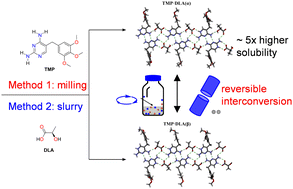 Reversible interconversion of pharmaceutical salt polymorphs ...