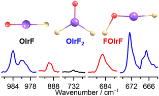 Infrared spectroscopic and theoretical investigations of novel iridium ...