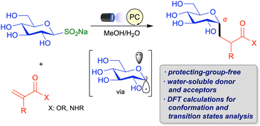 Photoredox-catalyzed protecting-group-free C-glycosylation with ...