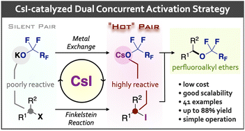 Perfluoroalkoxylation reaction via dual concurrent catalysis - Chemical ...