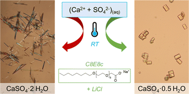 Organic solvent-free synthesis of calcium sulfate hemihydrate at room ...