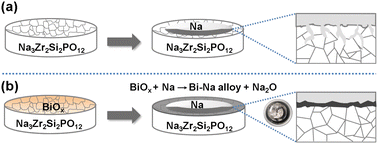 Engineering the NASICON electrolyte/Na anode interface with amorphous ...