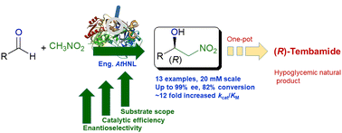 Hydroxynitrile lyase engineering for promiscuous asymmetric Henry ...