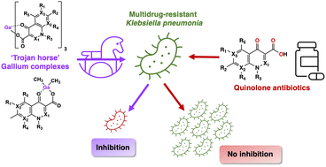 Gallium reactivates first and second generation quinolone antibiotics ...