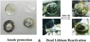 Dendrite inhibited and dead lithium activated dual-function additive ...