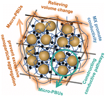 Robust dual-cross-linked networks enable stable silicon anodes ...