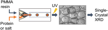 Single crystal formation in core–shell capsules - Chemical ...