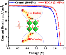 Additive effect on hot carrier cooling in a hybrid perovskite - Chemical Communications (RSC ...