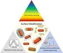 Recent advances in surface modified gold nanorods and their improved ...