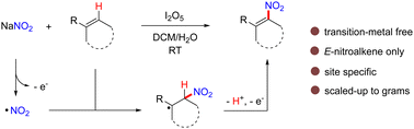 A free radical nitration of olefins with NaNO2/I2O5 - Chemical ...