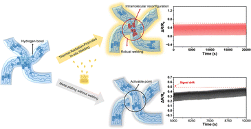A gas-permeable, durable, and sensitive wearable strain sensor through ...