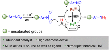Visible-light-induced iron-catalyzed reduction of nitroarenes to ...