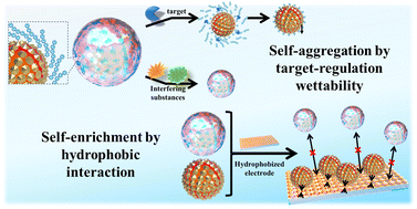 Design of target response wettability switchable core–shell–shell ...