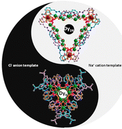 Double-stranded metallo-triangles: from anion-templated nonanuclear to ...