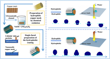 Preparation of a Janus copper mesh via nanoparticle interface self ...