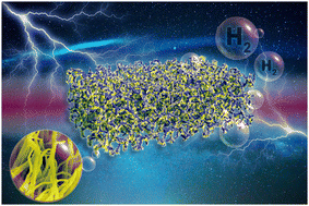 Rapid construction of Co/CoO/CoCH nanowire core/shell arrays for highly ...
