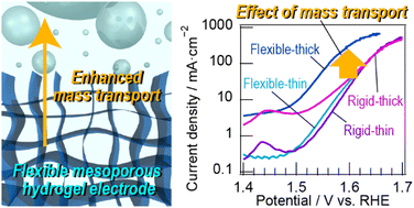 Mesoporous hydrogel electrodes with flexible frameworks exhibiting ...