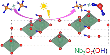Engineering surface lattice hydroxyl groups toward highly efficient ...