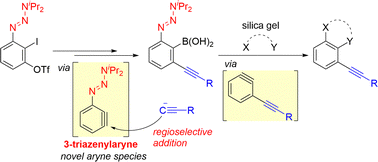 Development of 3-triazenylaryne and its application to iterative aryne ...