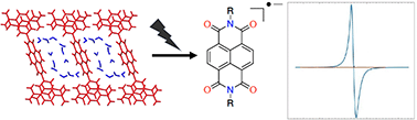 Photoinduced radical formation in hydrogen-bonded organic frameworks ...