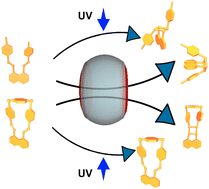 Reversing the stereoselectivity of intramolecular [2+2 ...