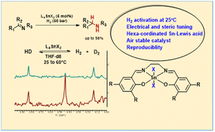 Hexacoordinated tin complexes catalyse imine hydrogenation with H2 ...