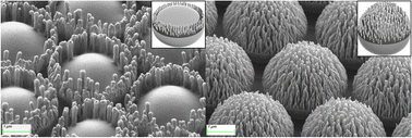 Polystyrene microspheres with ultra-rough surfaces engineered using RIE ...