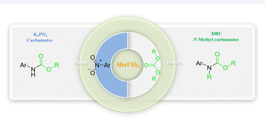 Divergent synthesis of carbamates and N-methyl carbamates from dimethyl ...