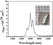 Growth and spectroscopic properties of Tm3+ doped YPO4 crystal ...