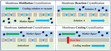 Recent advances in membrane crystallization - CrystEngComm (RSC Publishing)