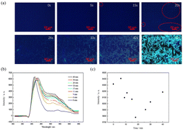 Real-time fluorescence visualization of the evaporation crystallization ...