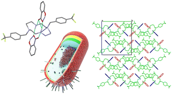 Novel cyclam multicomponent crystal forms: synthesis, characterization ...