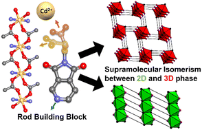 Supramolecular isomerism and structural flexibility in coordination networks sustained by ...