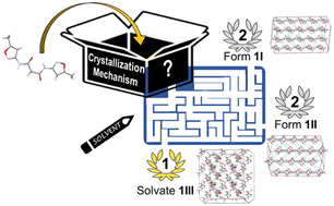 Polymorphism in N-(5-methylisoxazol-3-yl)malonamide: understanding the ...
