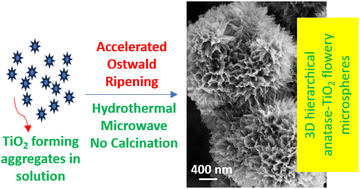 Microwave-assisted hydrothermal solution process for accelerated formation of 3D hierarchical ...