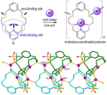 Assembling silver(i) coordination polymers of an NS4-macrocycle via an ...