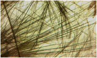 Crystal growth and morphology control of needle-shaped organic crystals ...
