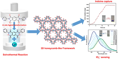 Highly efficient iodine uptake and iodate selective probe in a 3D ...