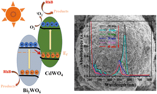 Preparation and photocatalytic properties of a CdWO4/Bi2WO6 binary ...